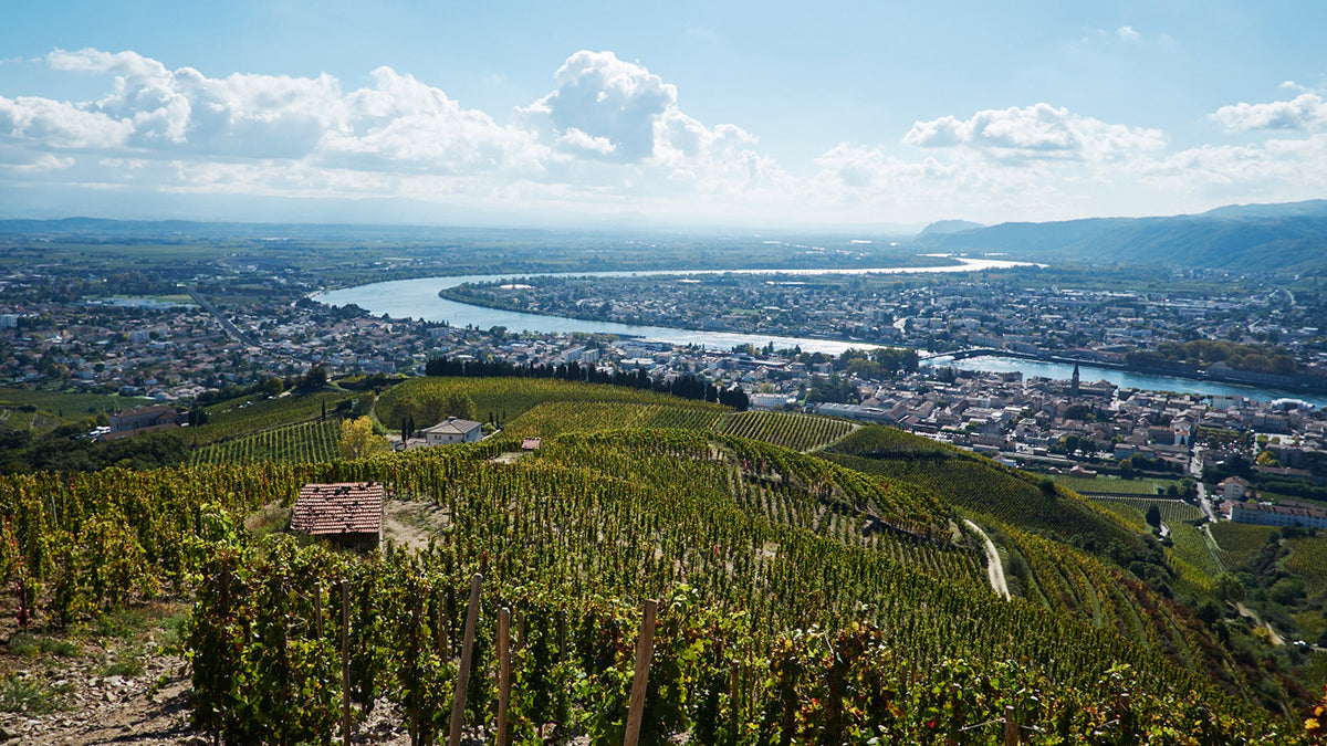 Rhône – Shrine To The Vine